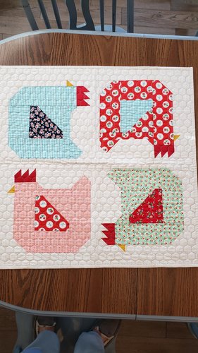 Shop | Category: Edge-to-Edge | Product: Chicken Wire E2E