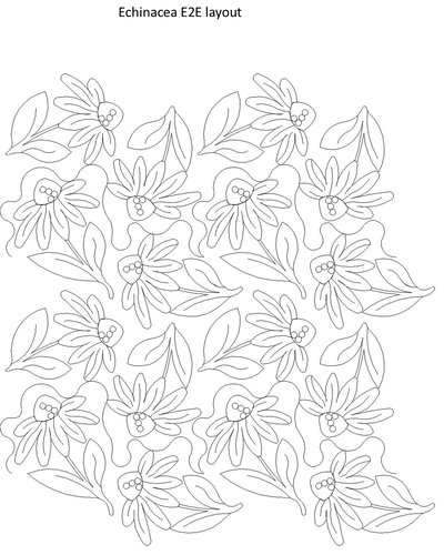 Shop | Category: Edge-to-Edge | Product: Echinacea E2E