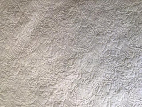 Shop | Category: Edge-to-Edge | Product: Poppy simple E2E