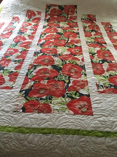 Shop | Category: Edge-to-Edge | Product: Poppy simple E2E