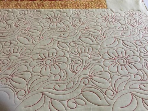 Shop | Category: Edge-to-Edge | Product: Daisy 2017 E2E