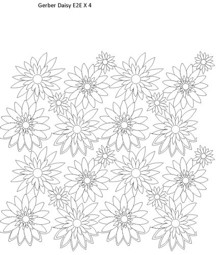 Shop | Category: Edge-to-Edge | Product: Gerbera Daisy E2E